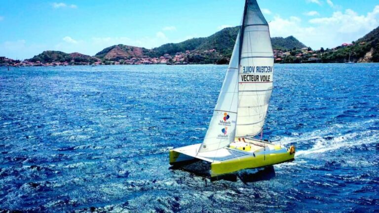 Sailing catamaran in La Baie des Saintes - What to Expect: A Step-by-Step Breakdown