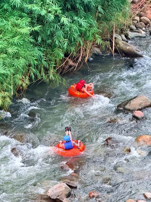 Saint George's: Grenada River Tubing & Waterfall island tour - What Makes This Tour Stand Out?