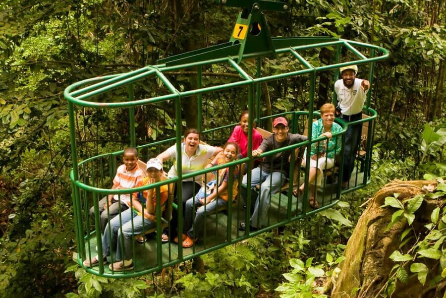 Saint Lucia: Aerial Tram Tour at Rainforest Adventures - Final Thoughts on the Rainforest Aerial Tram Experience