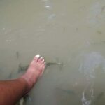 Saint Lucia: La Tille Falls Visit and Fish Foot Massage - The Fish Foot Massage Experience