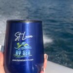 Saint Lucia: Private Speedboat Tour - Picture Perfect Spots - Practical Details and Tips