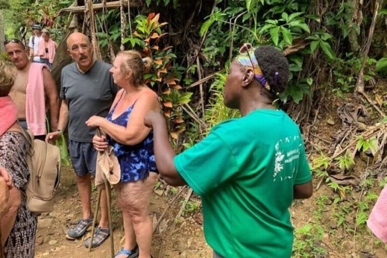 Saint Lucia: Soufriere Volcano Experience - The Logistics: What Travelers Need to Know