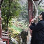 Saitama: Chichibu Driving Tour to Buddhist Temples - Transportation, Timing, and Group Dynamics