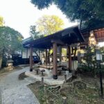 Sake Brewery Adventure - What Travelers Are Saying (Based on Reviews)