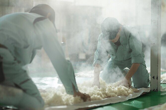 Sake Heritage Nagoya Brewers Insights and Tastings tour - The Practical Details: What to Expect