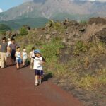 Sakurajima Volcano Guided Walking Tour - What the Tour Entails
