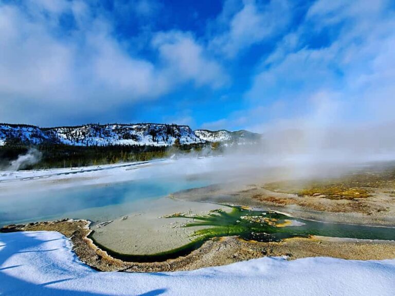 Salt Lake City: 4-Day Yellowstone & Grand Teton Winter Tour - Why This Tour Offers Great Value