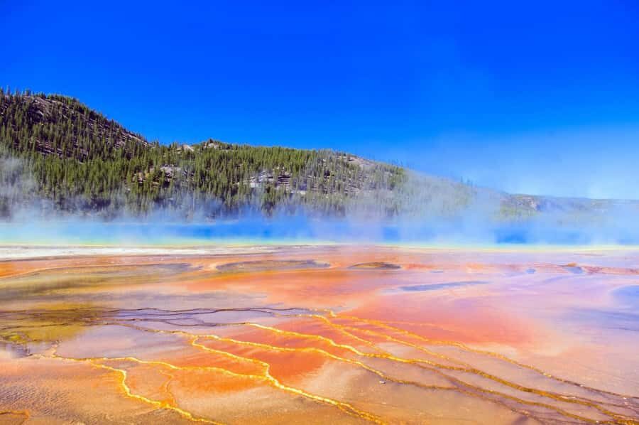 Salt Lake City: Yellowstone & Grand Teton 4-Day Tour - Real Traveler Insights