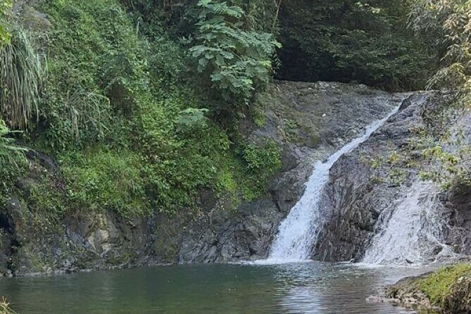 Salto de Pilar Cliff Jumping Tour - The Authentic Touch: Reviews from Fellow Travelers