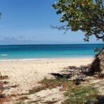 Salty Dogs UTV Adventure - Real Guest Perspectives