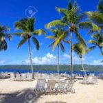 Samaná: Catamaran Cruise with Bacardi Island Visit - The Bay of Samaná: Scenic Beauty and Wildlife