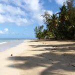 Samana Day Tour: Cayo Levantado & Rincon Bay Paradise - The Value in the Details