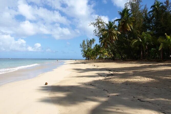 Samana Day Tour: Cayo Levantado & Rincon Bay Paradise - The Value in the Details