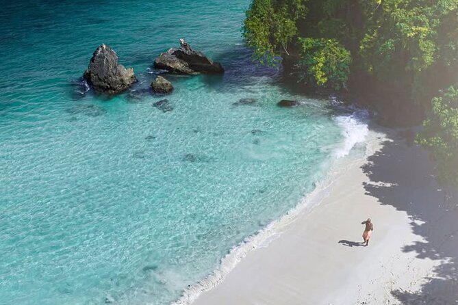 Samana Day Trip from Puntacana and El limon Waterfall - Why This Tour Matters: What You Gain