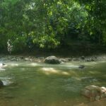 Samaná: El Limón Waterfall Horseback Riding Tour - What Makes This Tour Unique?