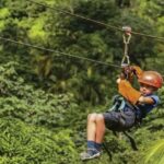 Samaná: El Limón Zipline Adventure with 10 Cables - What to Expect During the Tour