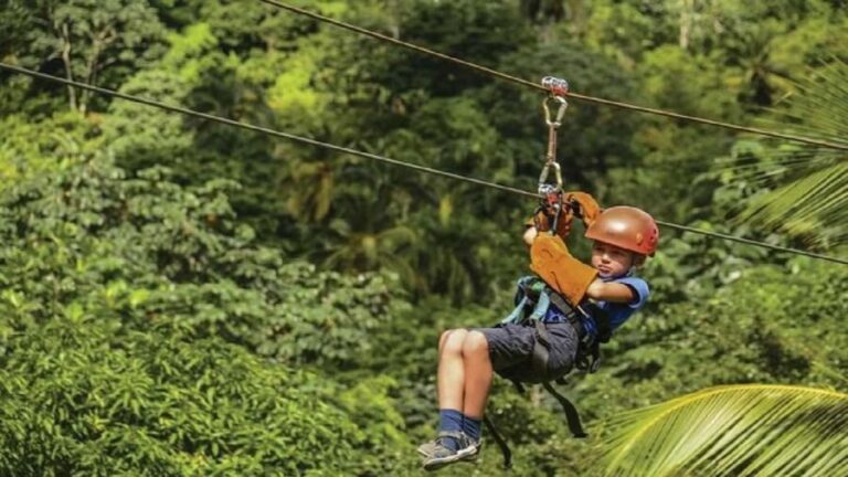 Samaná: El Limón Zipline Adventure with 10 Cables - What to Expect During the Tour