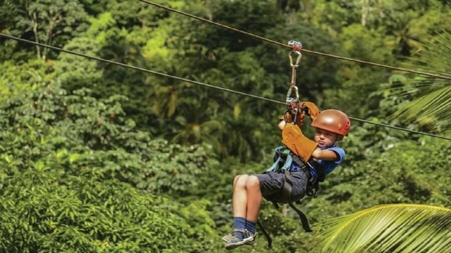 Samaná: El Limón Zipline Adventure with 10 Cables - What to Expect During the Tour
