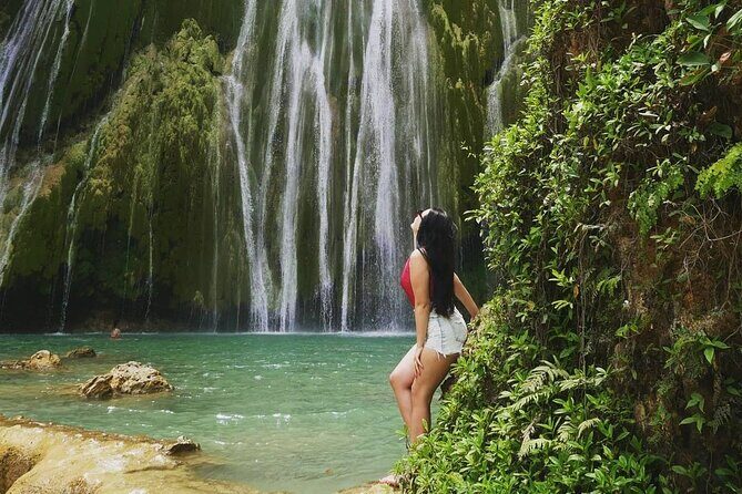 Samaná Experience Whale  The Lemon Waterfall & Bacardi Island - The Good, the Bad, and the Value