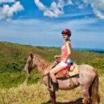 Samaná: Full-Day Adventure El Limón Waterfall Bacardi Island - Who is this Tour Best For?