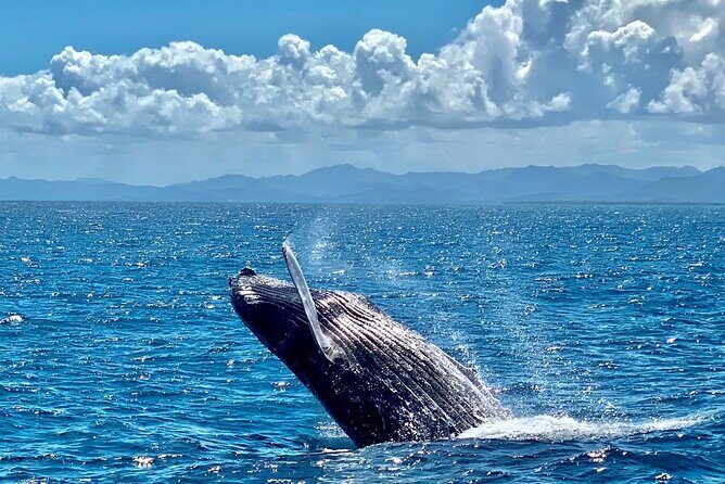 Samana Full Day -baracardi island, horses, lemon waterfall - Transportation, Duration, and Group Size