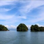 Samana: Los Haitises National Park & Caño Hondo Day Tour - Transportation and Group Size