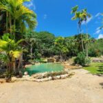 Samaná: Los Haitises Park, Caño Hondo & Yanigua Tour - Practical Details and Considerations