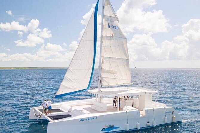 Samana Los Haitises Water fall Cayo Leventado - Whale Watching and Cacao Plantations: Highlights in Samana