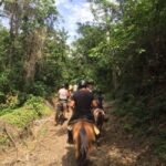 Samaná: Private Horseback Riding to El Limón Waterfall - An Overview of the Tour Experience
