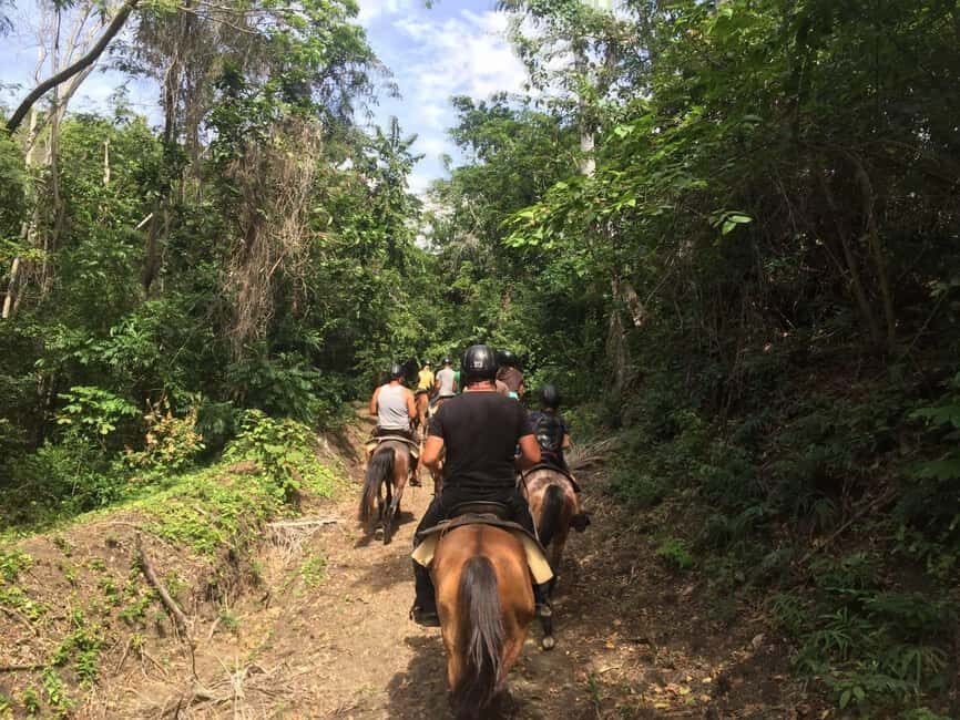 Samaná: Private Horseback Riding to El Limón Waterfall - An Overview of the Tour Experience