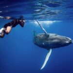 Samana: Private Whale Watching Half Day Trip - Authenticity and Practical Tips