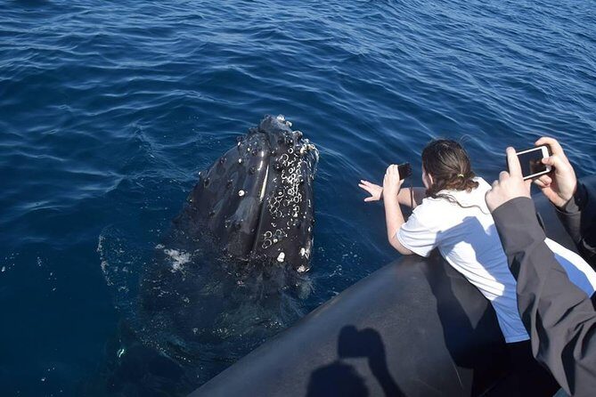 Samana Tours (With Whales) Full Day Excursion! All inclusive Tour! - Transport, Comfort, and Group Size