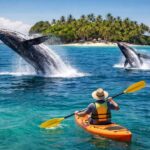 Samaná: Whale, Cayo Levantado, & Kayak in Samaná Bay Tour - The Itinerary — What’s Included and What to Expect