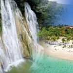 Samana Whale watching and Bacardi Island from Punta Cana - What Travelers Should Know