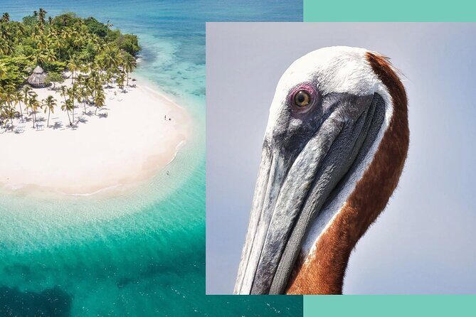 Samana Whale Watching + Cayo Levantado ( Bacardi Island) with Lunch by Locals - The Practical Side: Value and Considerations