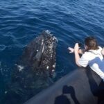 Samana Whale Watching Tour From Las Terrenas. Cayo Levantado with Lunch - Who Would Enjoy This Tour?