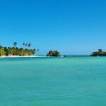 Samana Whales Watching Full Day Tour with Cayo Levantado and more - The Value of This Tour