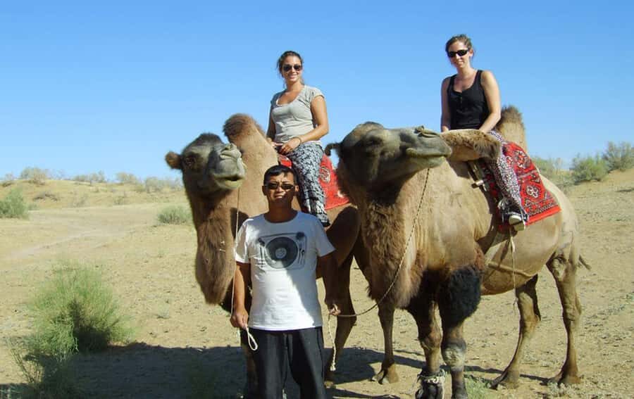 Samarkand: 2-Day Desert Yurt Camp & Camel Ride Tour - Transport, Pricing, and Practical Tips