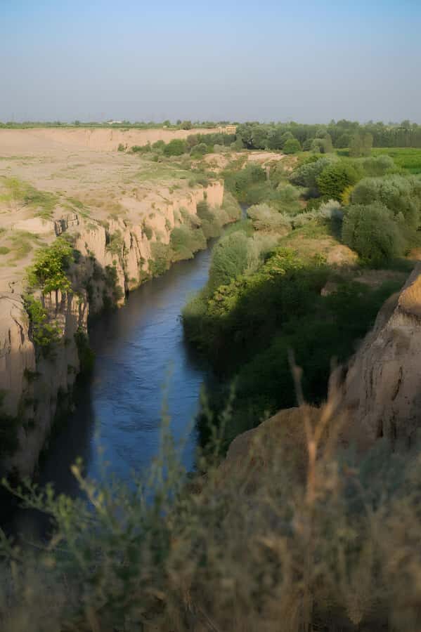 Samarkand: Village Tour with Homemade Dinner & Milking a Cow - Transport, Duration, and Value