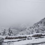 Samarkand: Zaamin National Park and Glass Bridge Tour - Transportation, Group Size, and Value