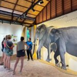 Samui: Elephant Home Sanctuary and the first elephant museum - What You Can Expect from the Experience