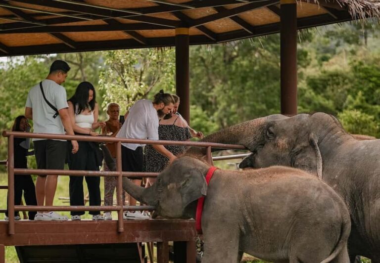 Samui: Ethical Elephants Sanctuary and Coconut Experience - Transportation & Group Size