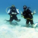 Samui: Intro Dive in Koh Tao - Who Should Consider This Tour?