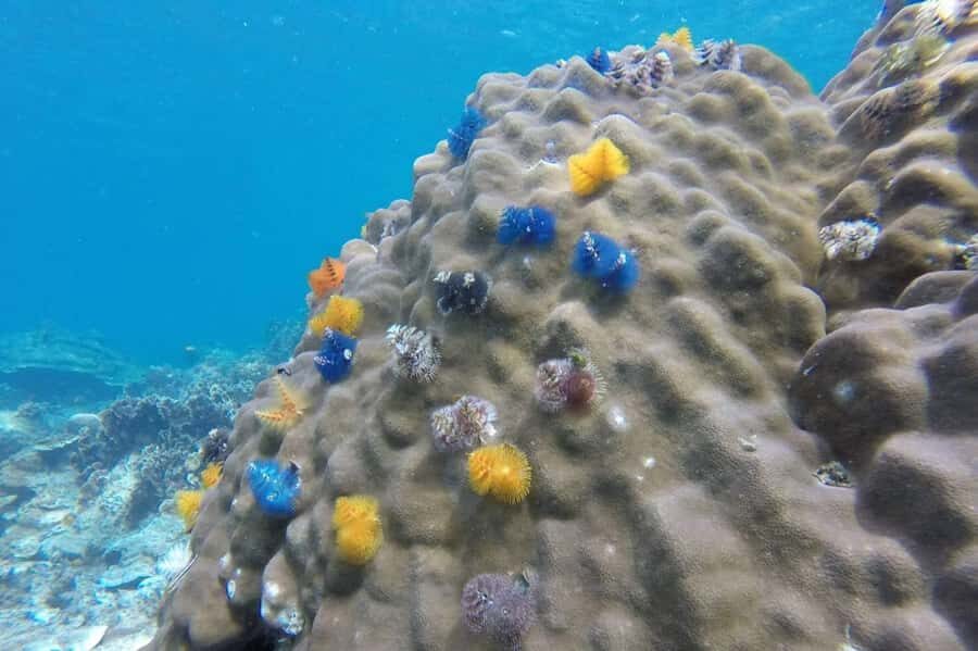 Samui: Mr. Tu's 3-Island Signature Boat Tour to Koh Nangyuan - The Itinerary in Detail: What to Expect