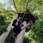 Samui Zipline Adventure with Transfer service - Two Programs to Suit Every Traveler