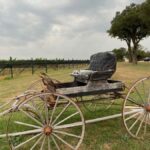San Antonio: Hill Country Wine Tour & Fredericksburg Visit - Why This Tour Offers Great Value