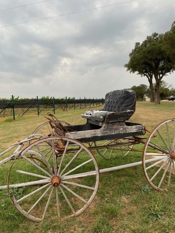 San Antonio: Hill Country Wine Tour & Fredericksburg Visit - Why This Tour Offers Great Value