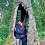 San Cristóbal de las Casas: Hiking on Huitepec Volcano - Why This Tour Is a Great Choice