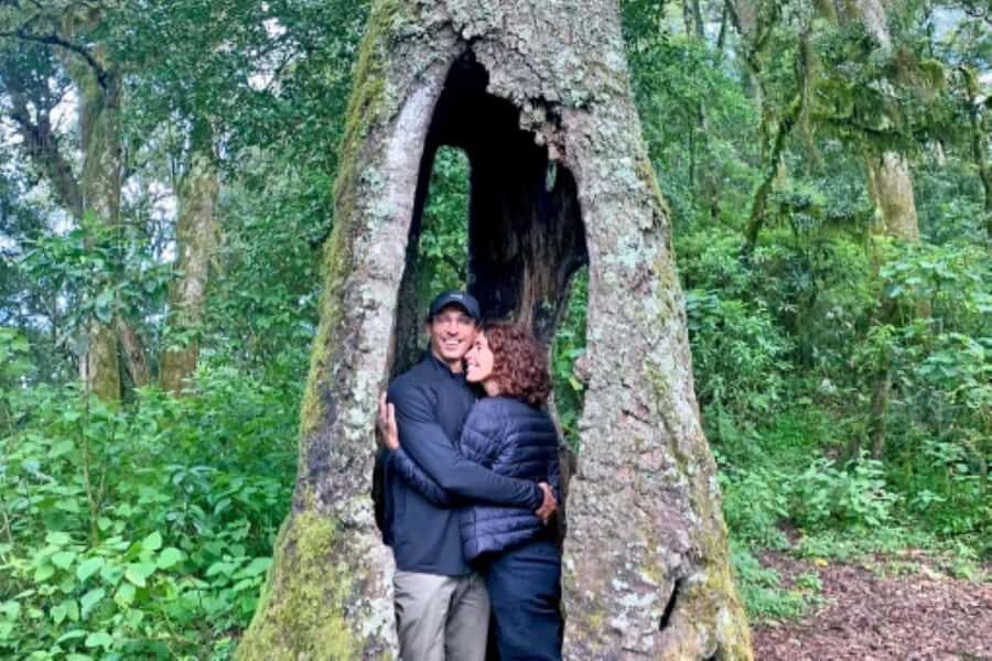 San Cristóbal de las Casas: Hiking on Huitepec Volcano - Why This Tour Is a Great Choice