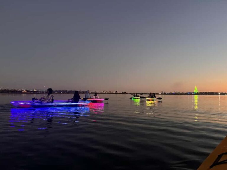 San Diego: Glass Kayak Tour - Why the Clear Kayaks Make a Difference